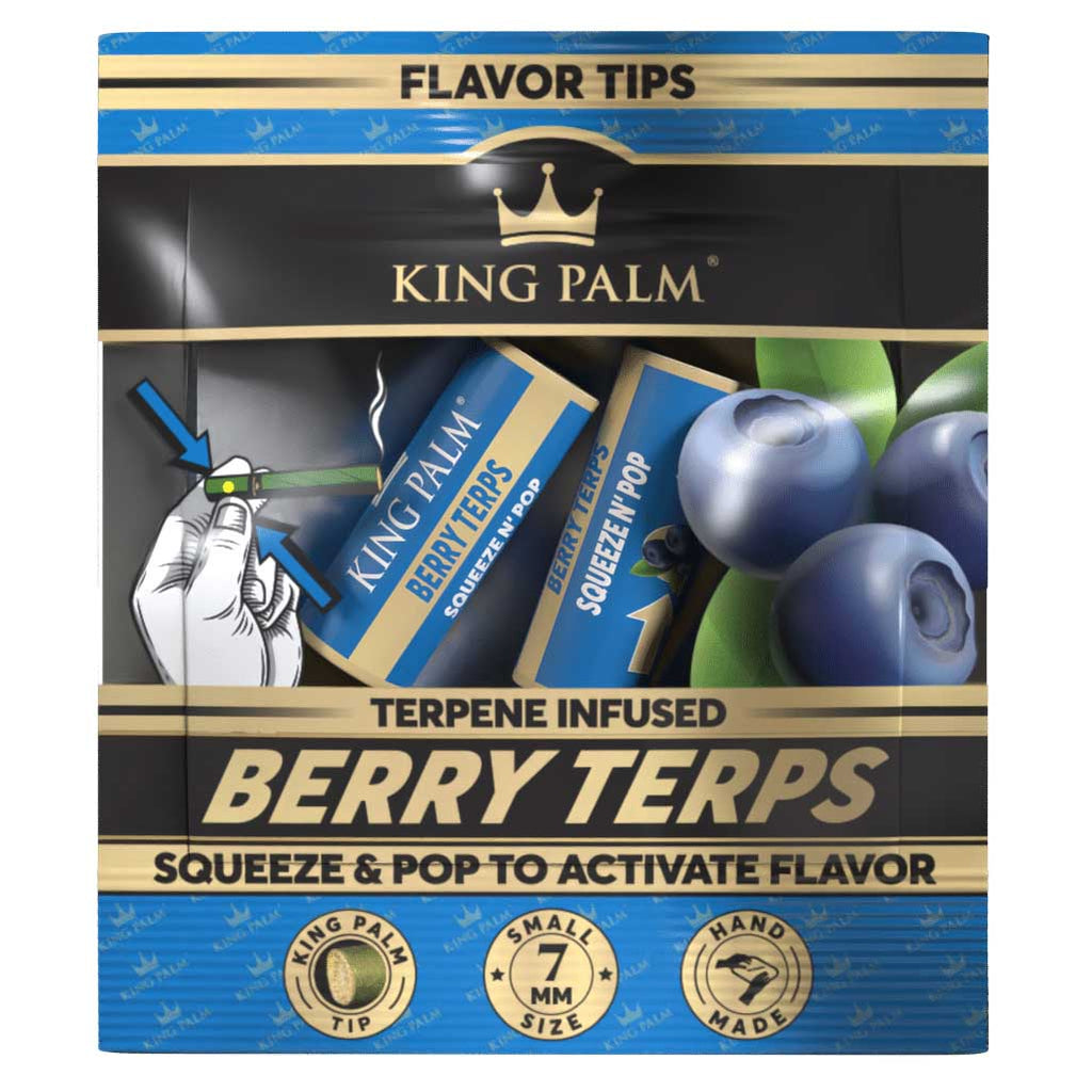King Palm Terpene Infused Flavored Tips 2 Pack – Excitement Smokin PA